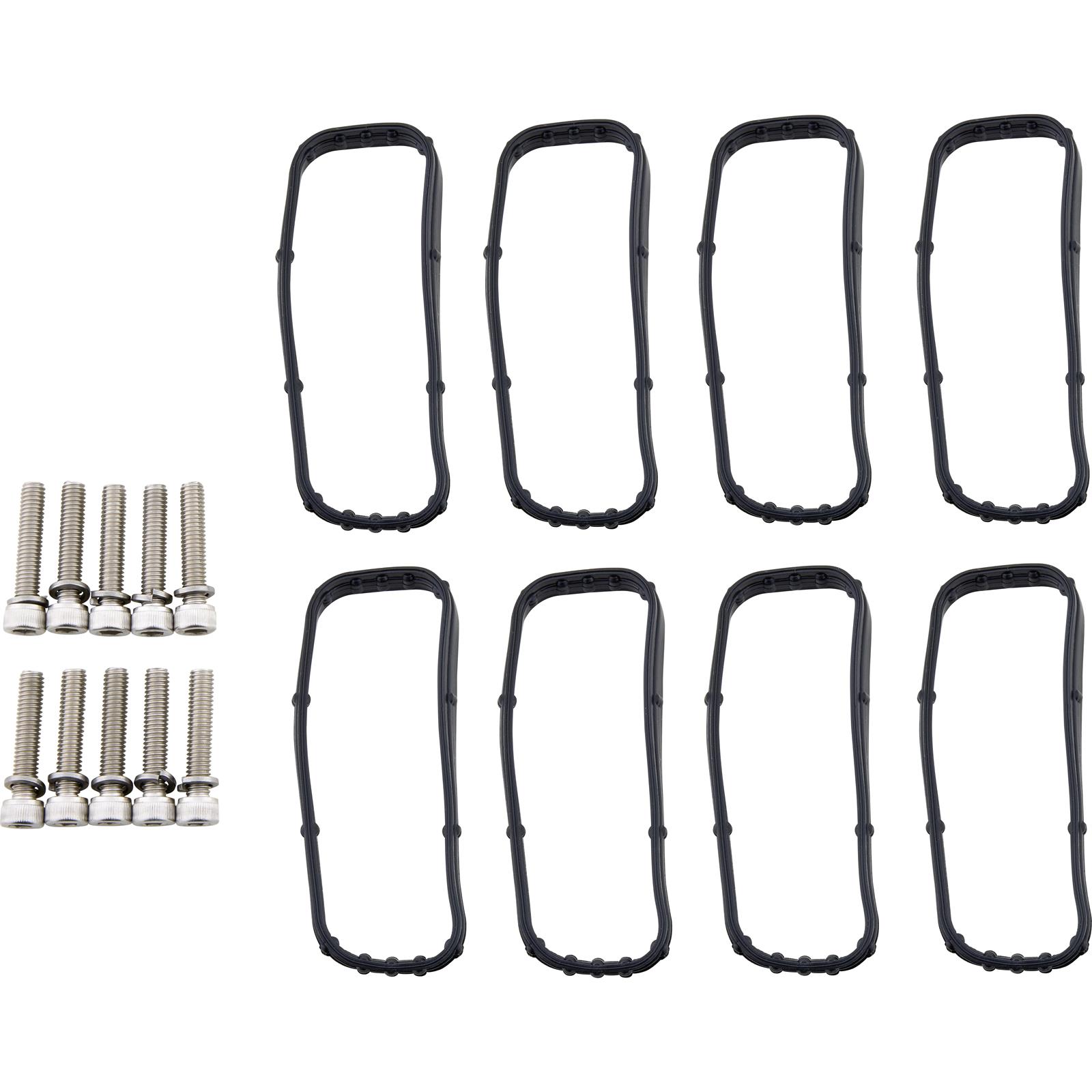 Cathedral Intake Port Gaskets & Hardware Kit, LS1/LS2/LS6