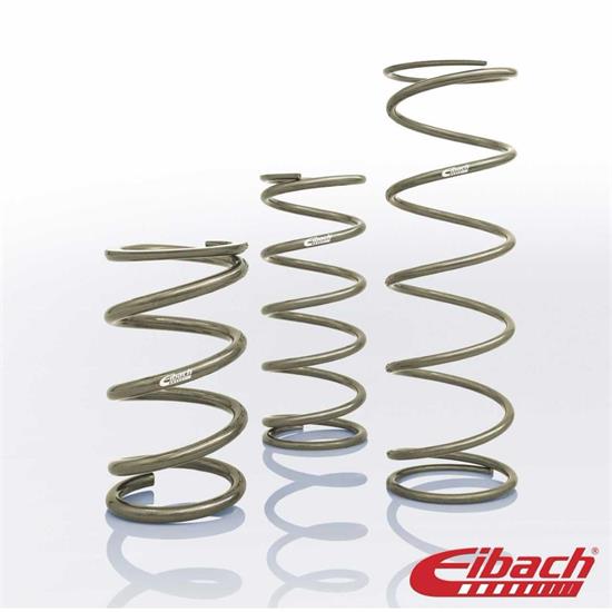 Eibach Spring Platinum Rear Spring, 16 Inch