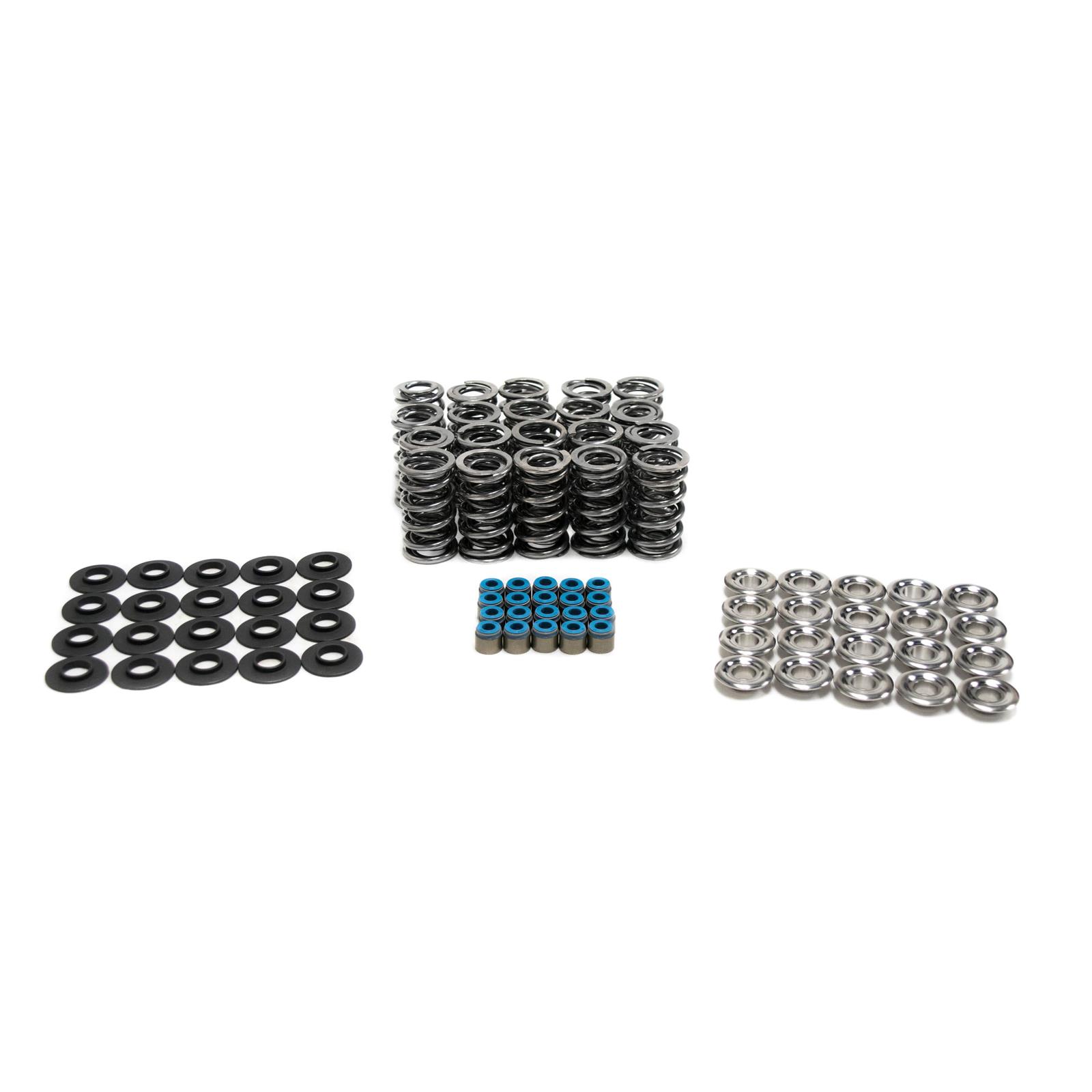 BTR SK010/VSLS Plat. Gen I Dodge Viper Dual Spring Kit, LS Seals