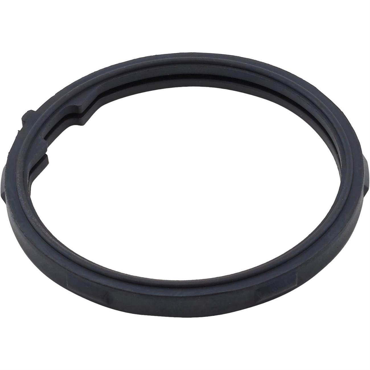 Chevrolet Performance 12587397 Water Neck/Thermostat Housing Seal