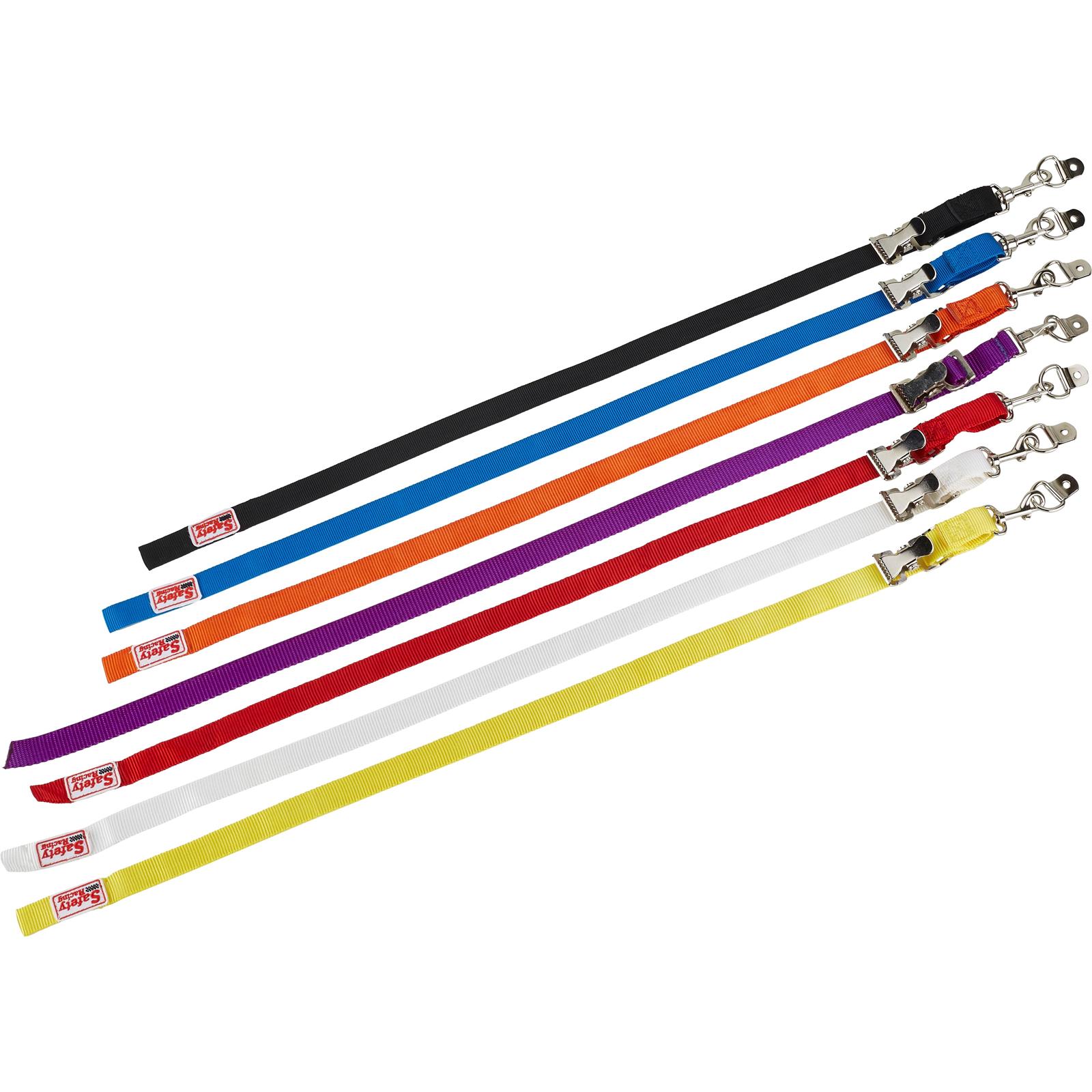 Speedway Helmet Restraint with D-Ring