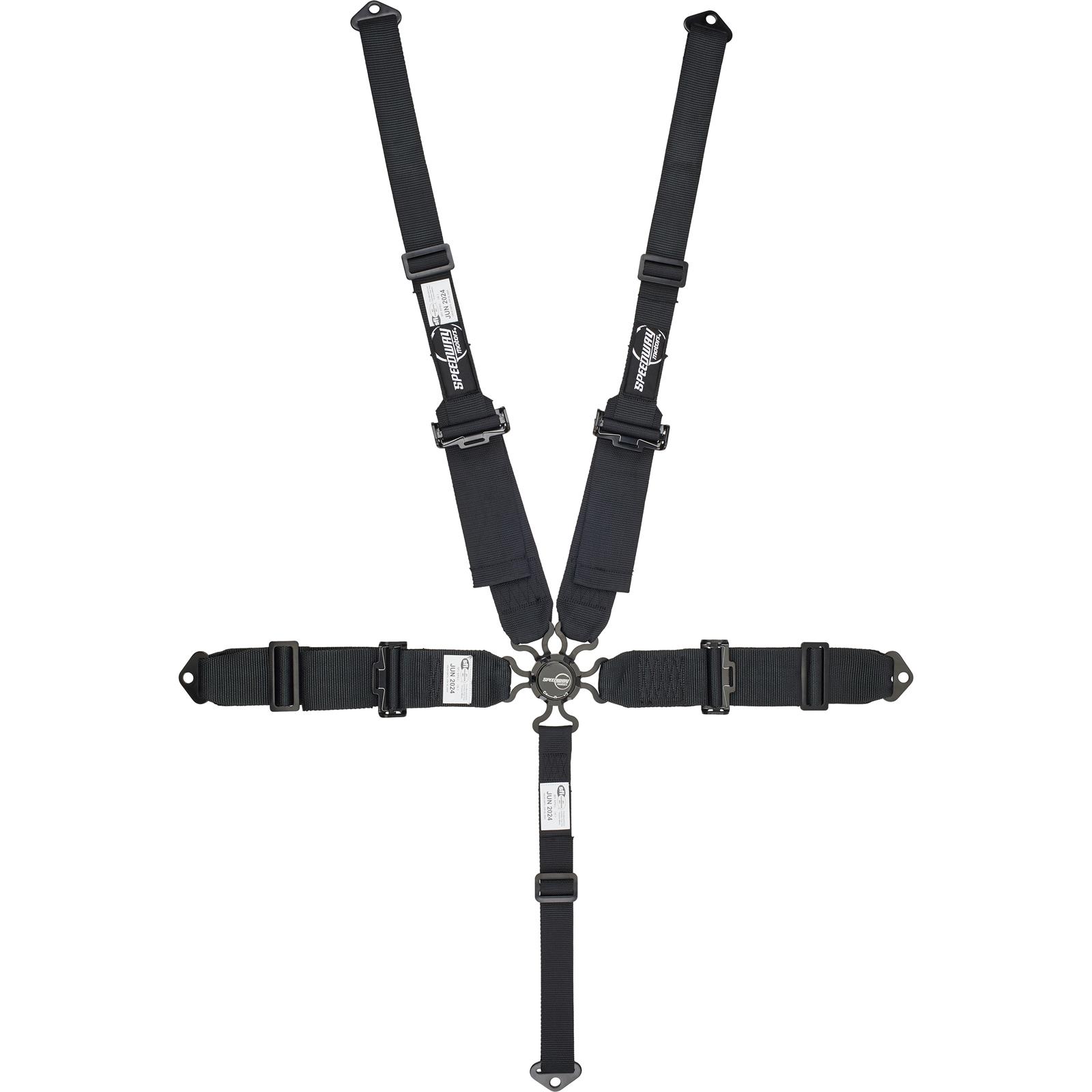 Speedway 5 Point Harness, Cam Lock, Pull Down, Hans, Black
