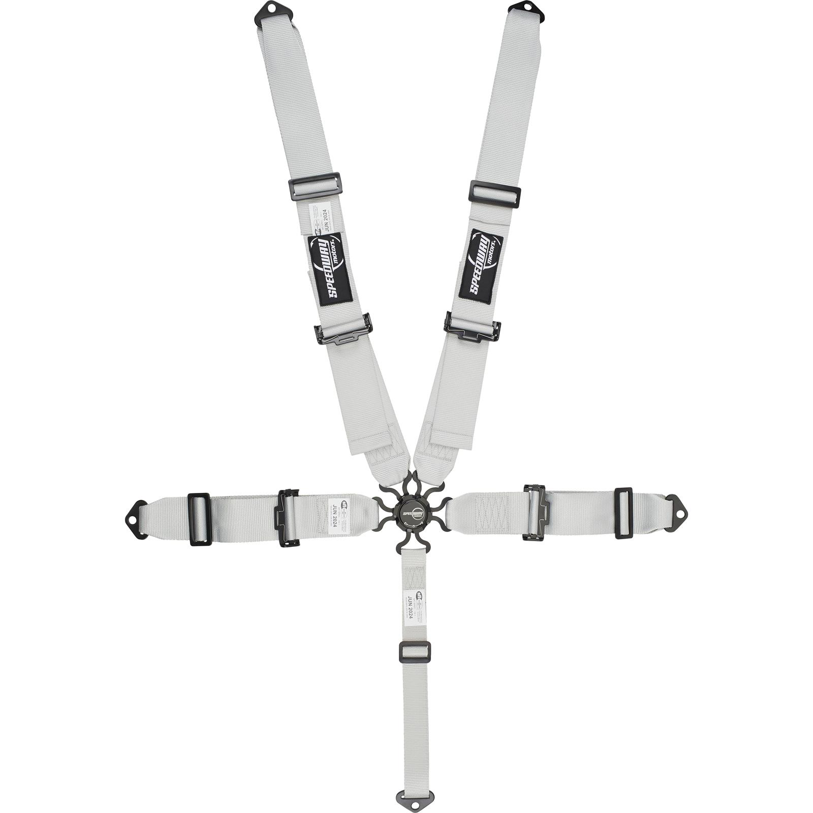 Speedway Elite, 5 Point Seat Belt Harness, Cam Lock, Silver