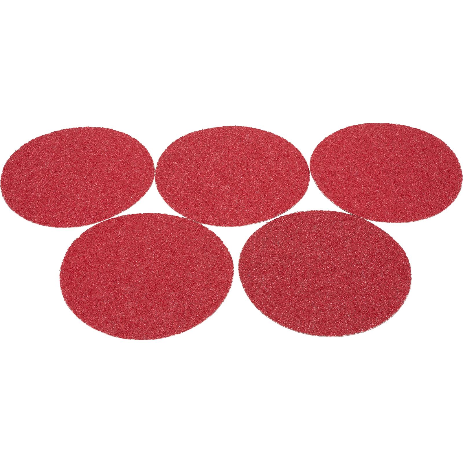 Speedway Motors Sanding Disc, 8 Inch, 24 Grit, Pack of 5