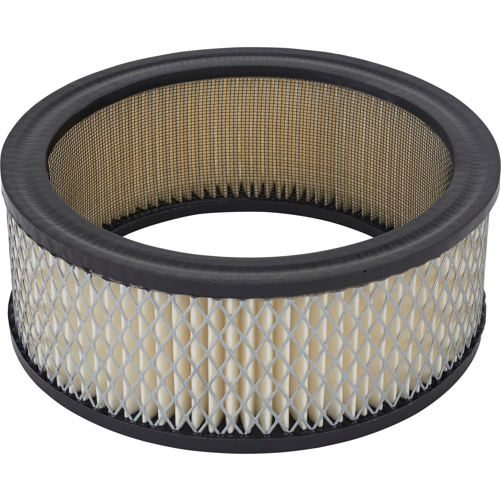 Replacement Paper Filter for Shotgun Scoop, 6.38 x 2.38 Inch