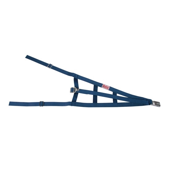 Safety Racing Sprint Car Cage Net