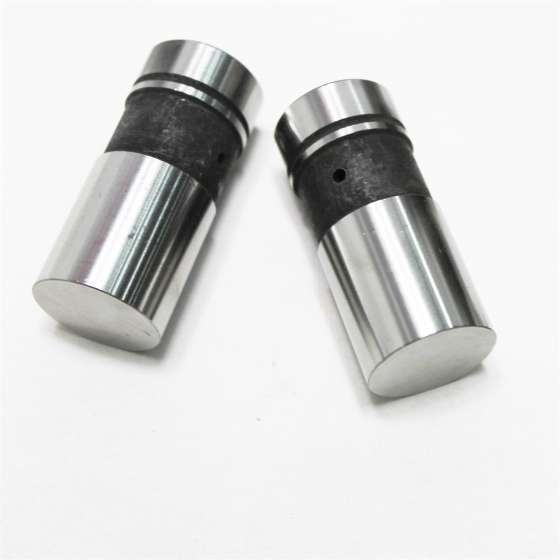 Garage Sale - Speedway Small Block Ford Solid Lifters